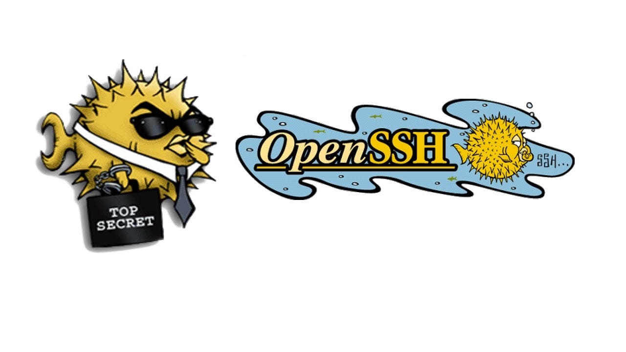 How to Use SSH to Connect to a Remote Server in Linux or Windows?